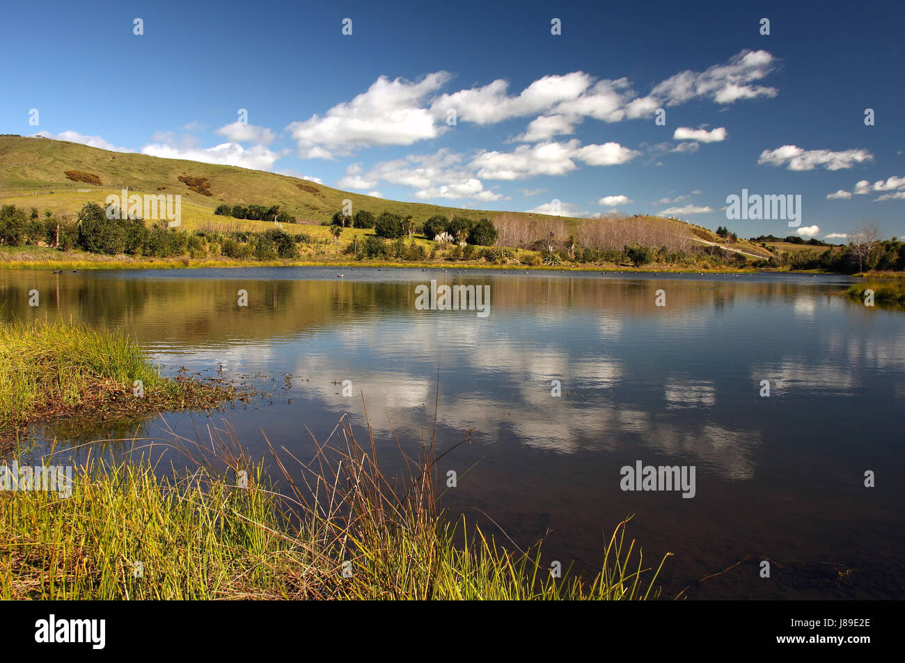 Omaha new zealand hi-res stock photography and images - Alamy