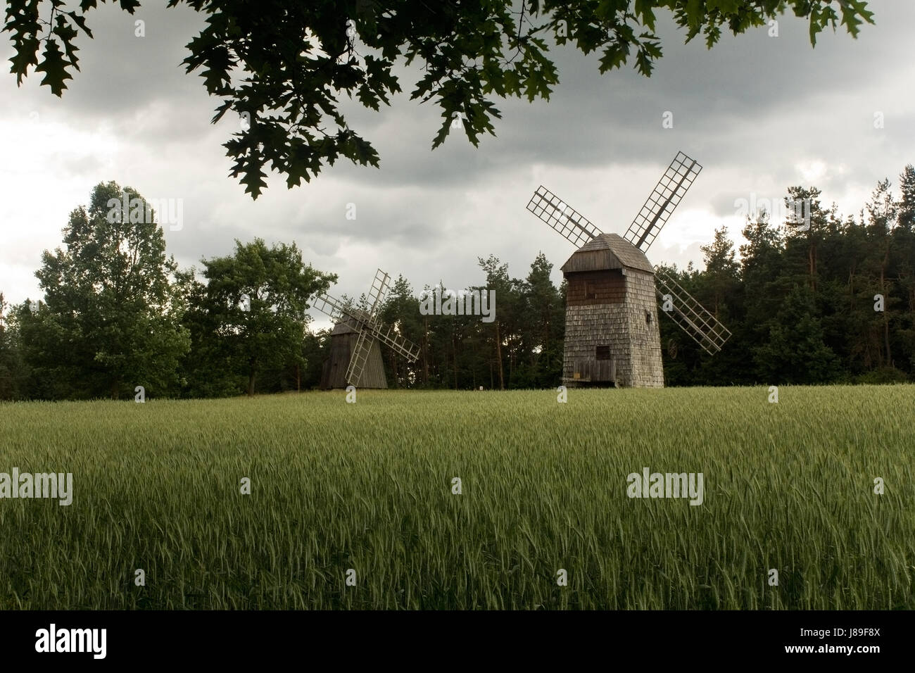 environment, enviroment, field, production, corn, forest, two, tower ...