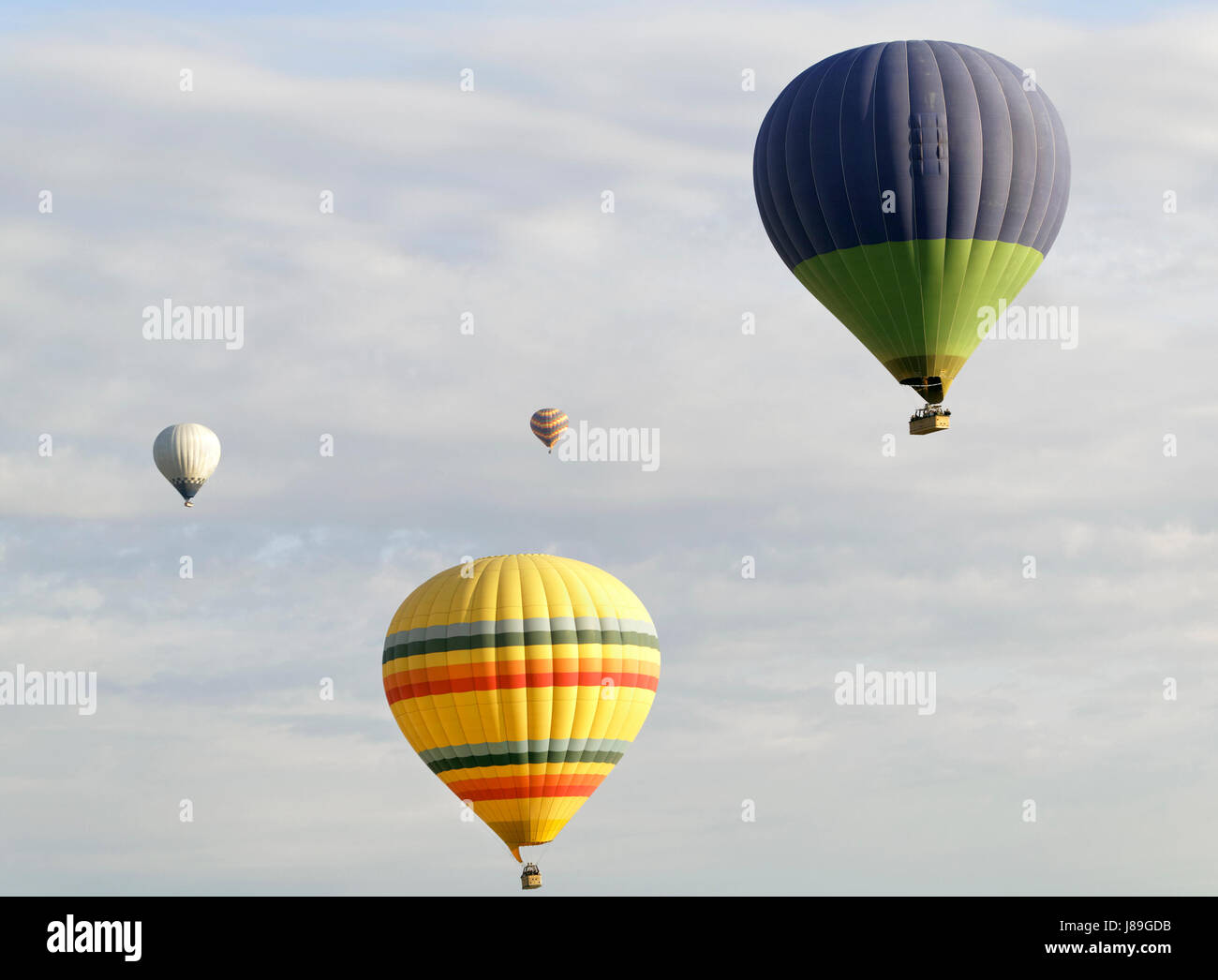 variety, sailing, hot air balloons, humans, human beings, people, folk ...