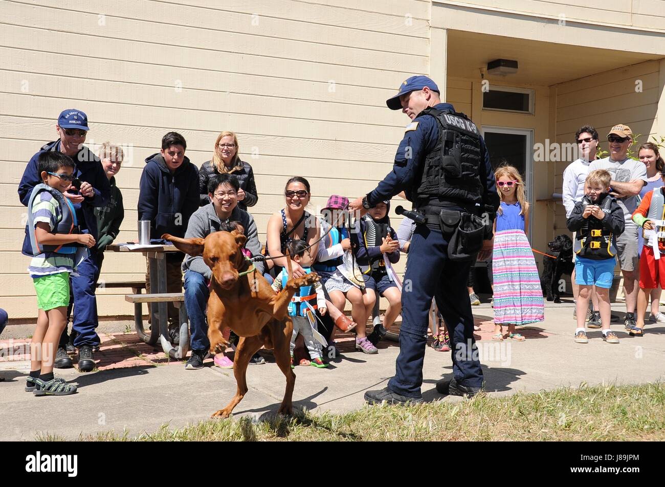 Feco, the Coast Guard's Explosive Detection Canine, shows off in front ...