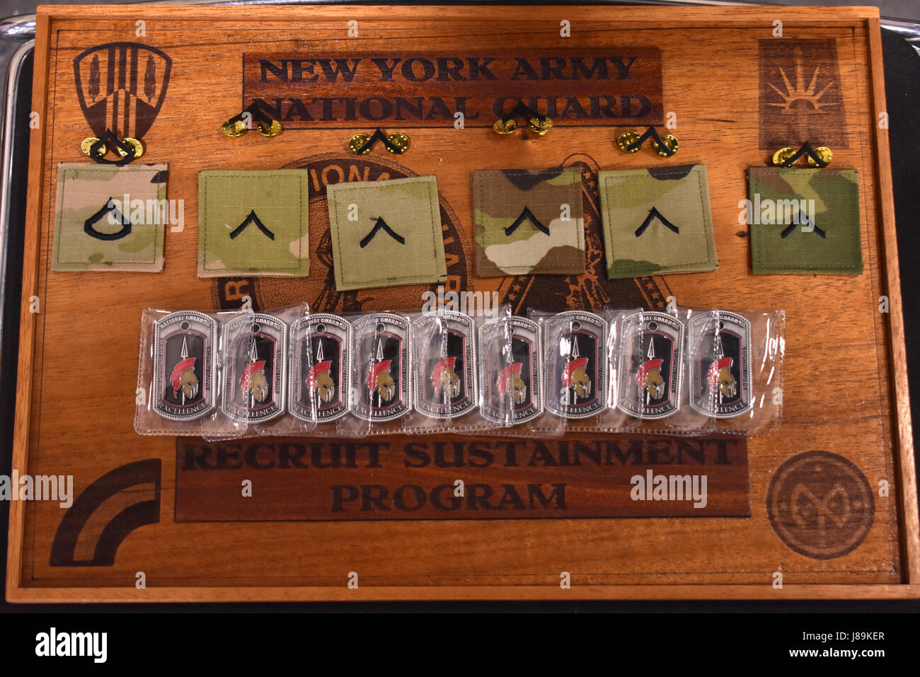 Pfc. and Pvt. rank patches (top) and Recruit Sustainment Program (RSP ...