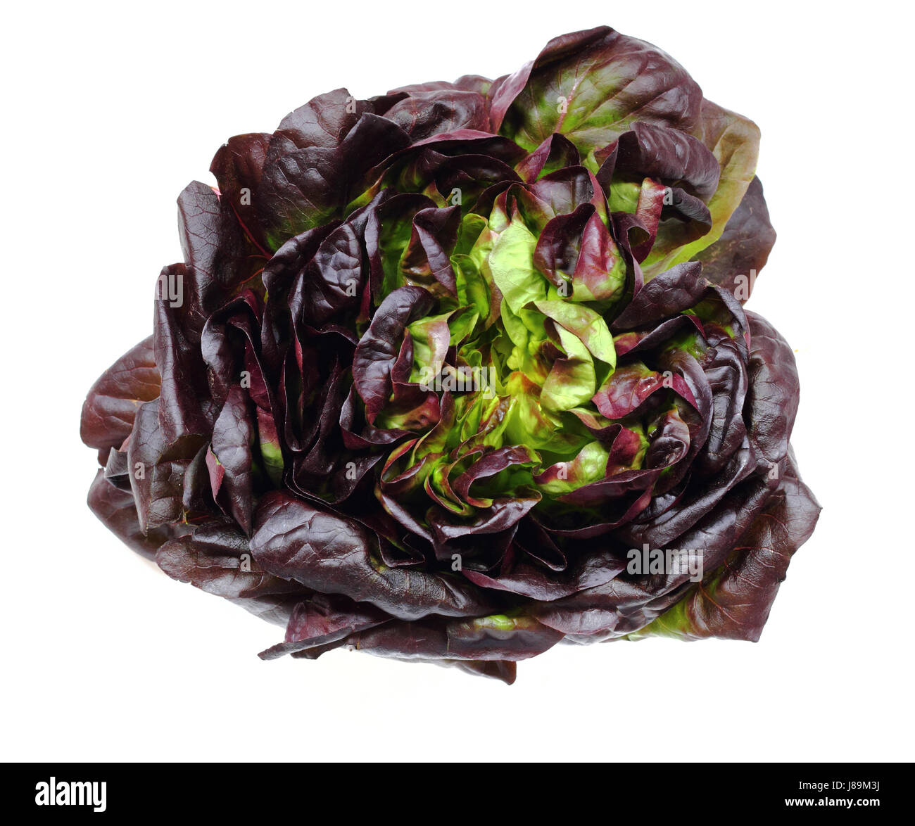 vegetarian - colorful lettuce from above Stock Photo - Alamy