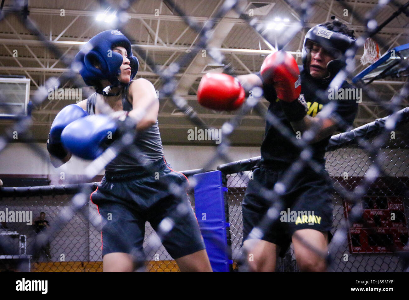 Two Paratroopers with the 82nd Airborne Division, begin a boxing match ...