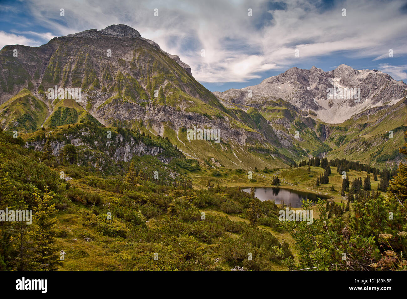 rock, bush, sight, view, outlook, perspective, vista, panorama, lookout ...