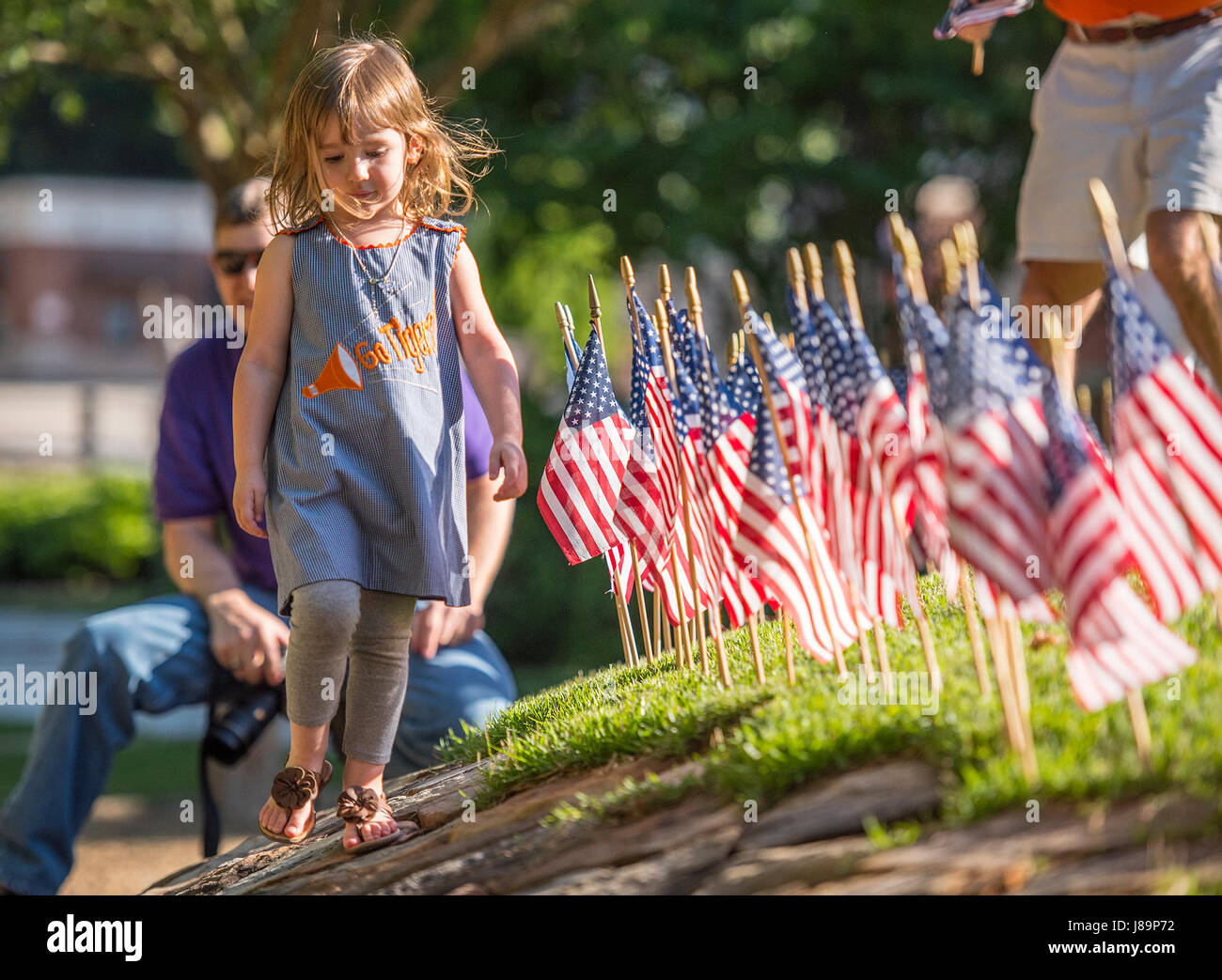 Volunteers placed 489 American flags at Clemson University’s Scroll of ...