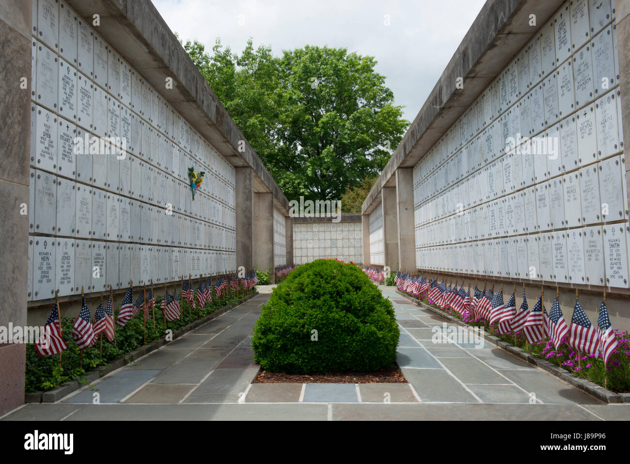 Flags line The Columbarium Court 2 of Arlington National Cemetery for ...