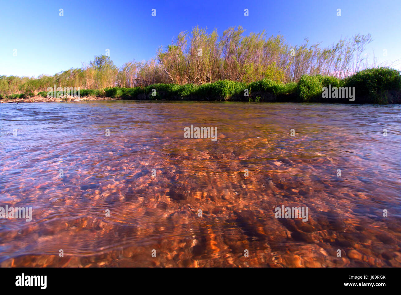 flow, current, riffle, ripple, creek, river, water, beautiful ...