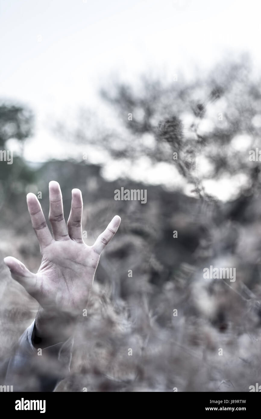 a human hand raised from bushes Concept of help & forgiveness Stock ...