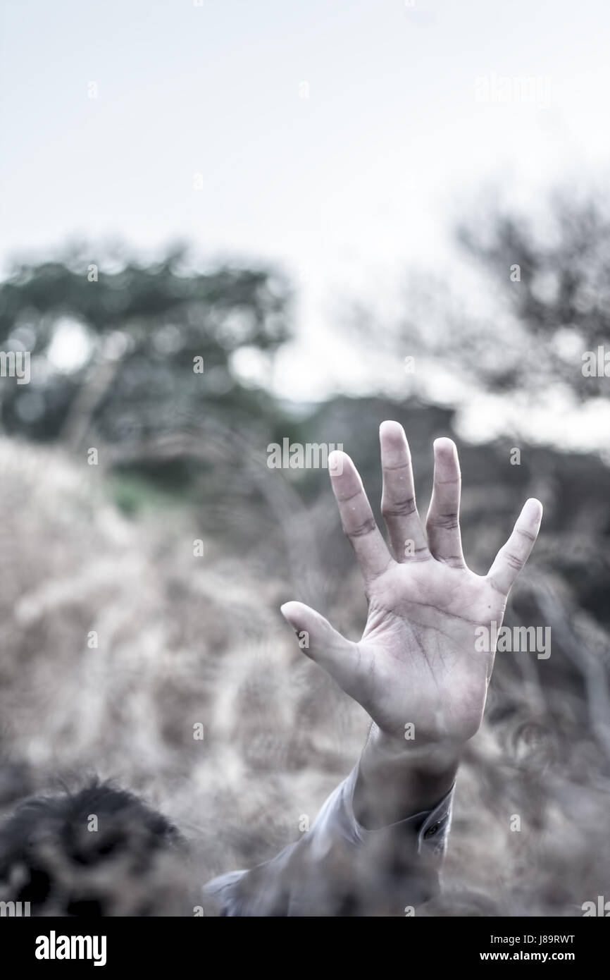 a human hand raised from bushes Concept of help & forgiveness Stock ...
