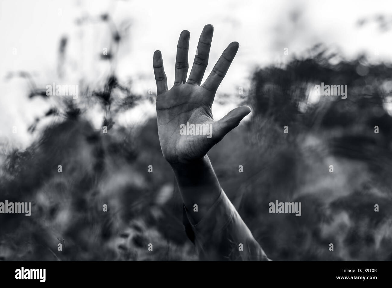 Human hand raised in yellow and green background Stock Photo - Alamy