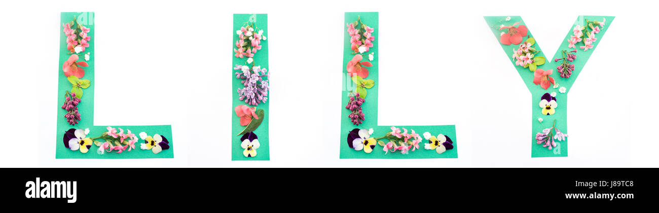 Lily Word Made of Paper and Spring Flowers on a White Background Stock ...