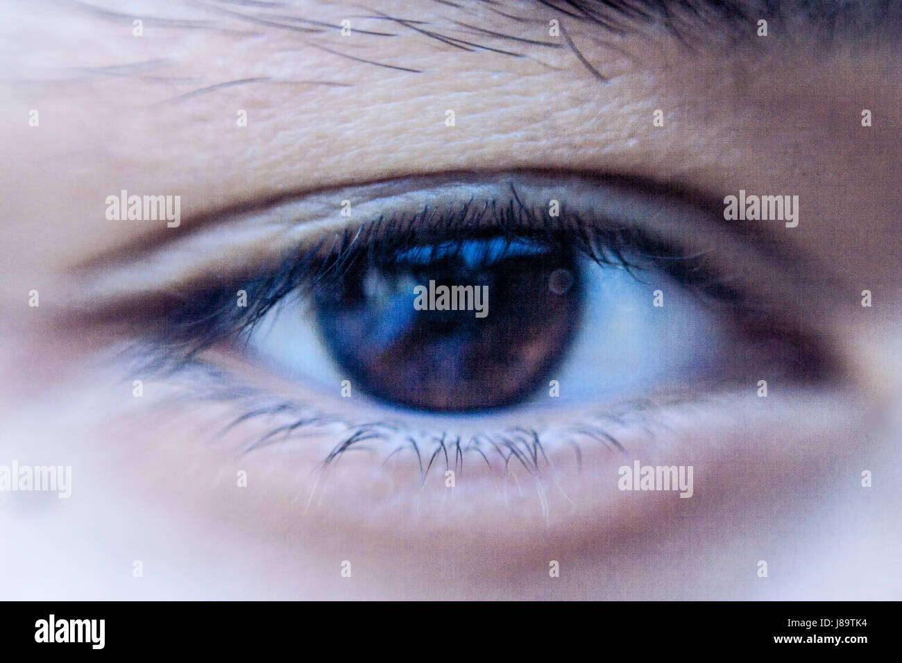 Close up of a men's eye Stock Photo - Alamy