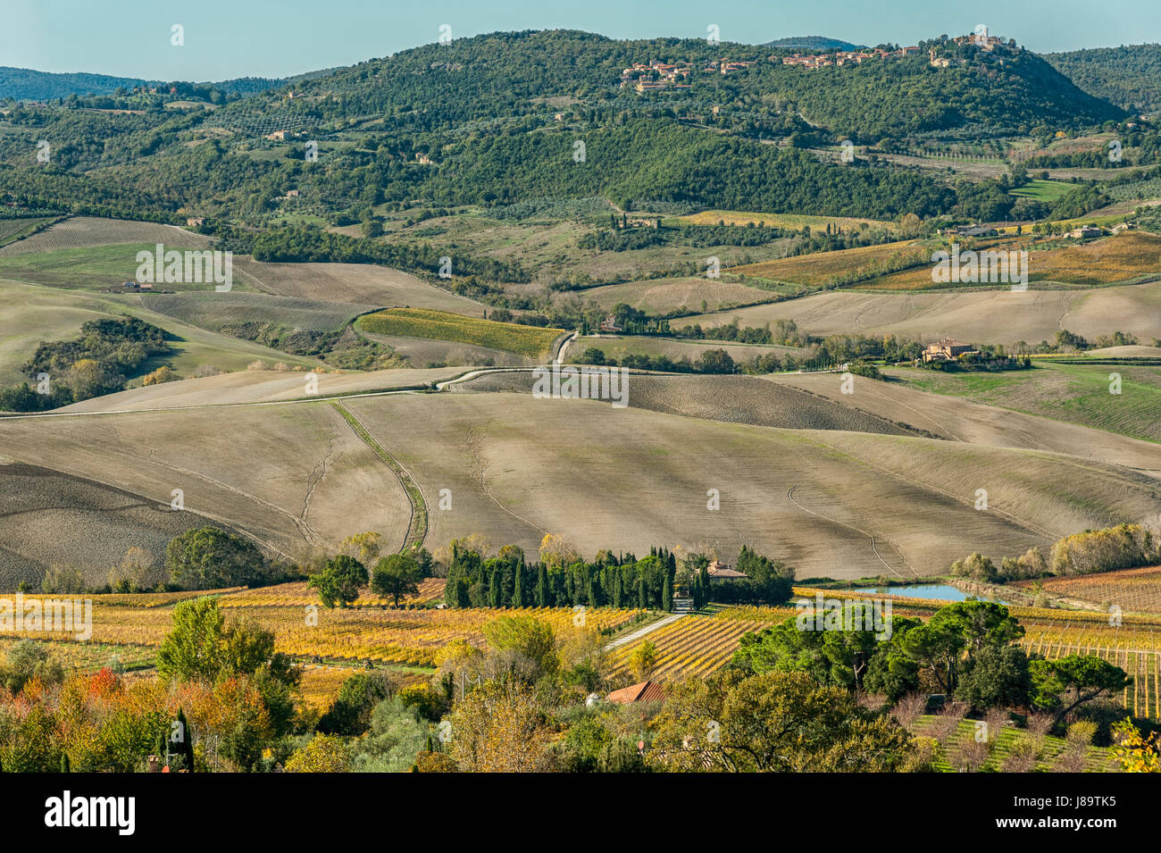 Italy chianina hi-res stock photography and images - Alamy