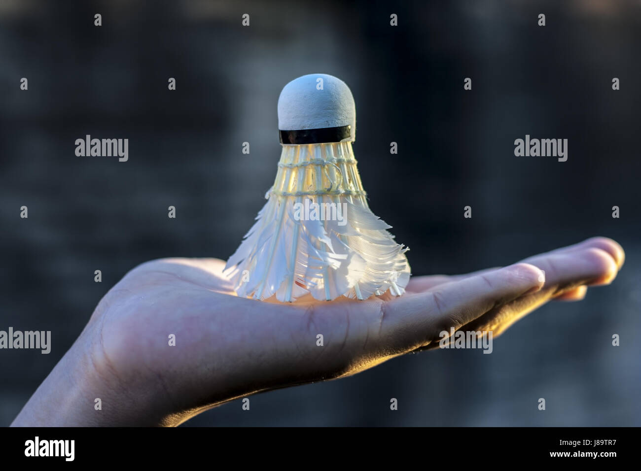A boy holding shuttle cock Stock Photo - Alamy