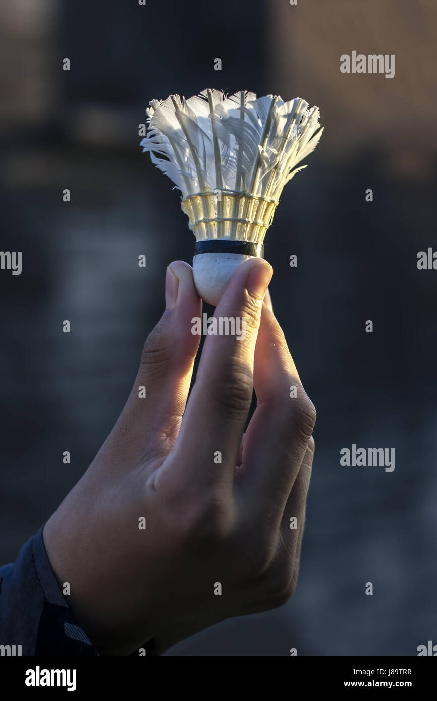 Close up of Shuttle cock in a boy's hand Stock Photo - Alamy