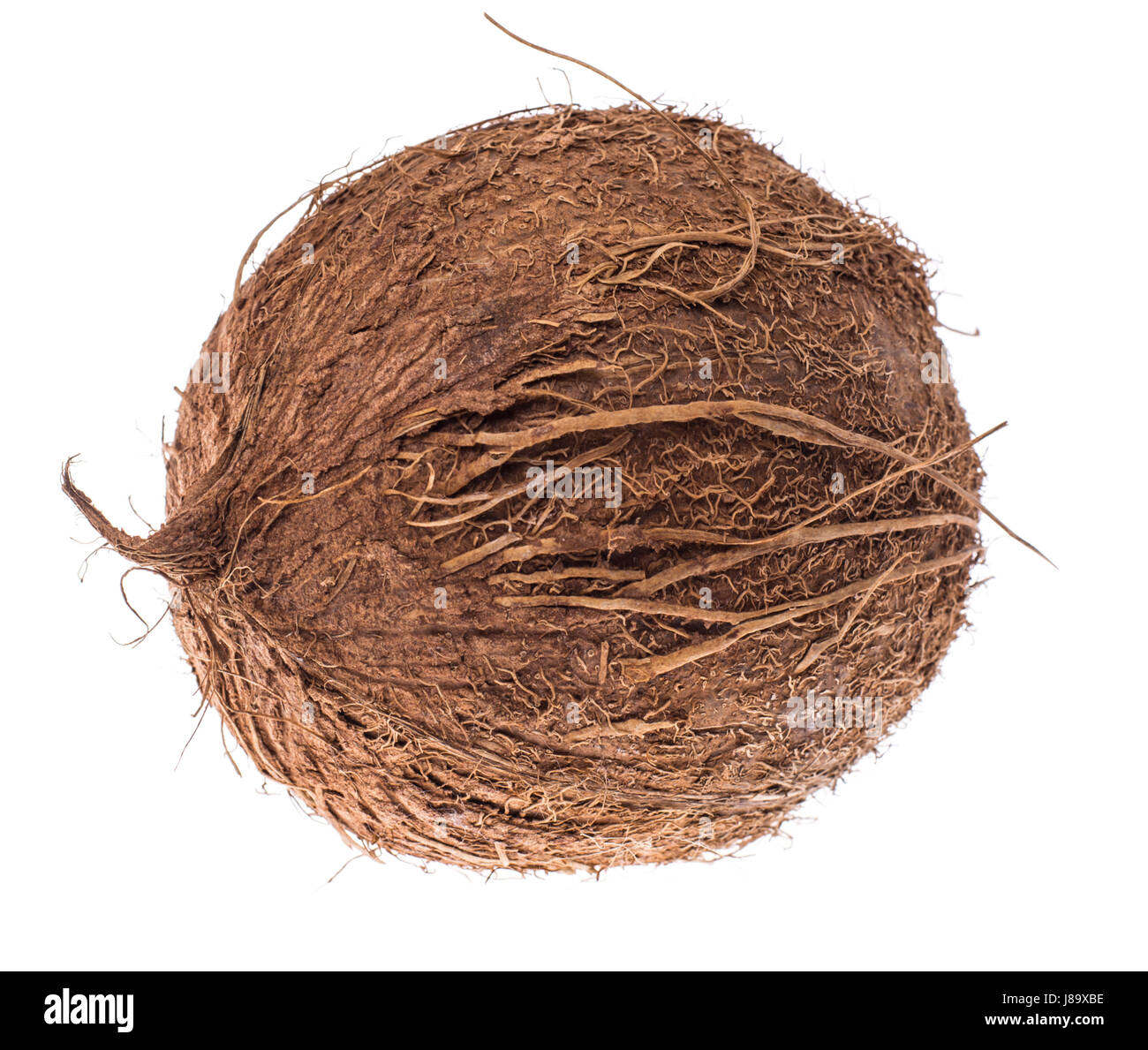 Whole coconut Cut Out Stock Images & Pictures - Alamy