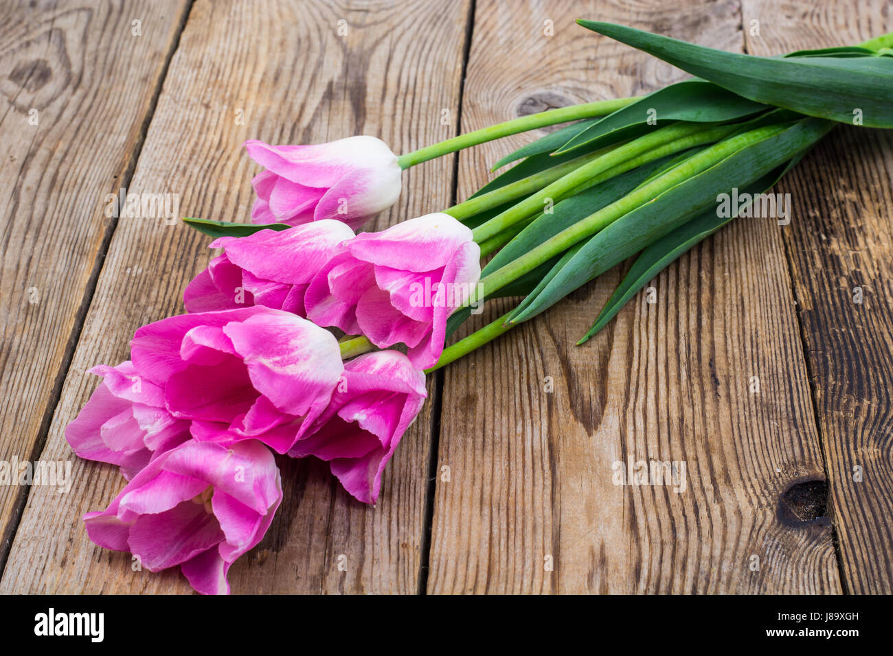 Flower Laying On Table