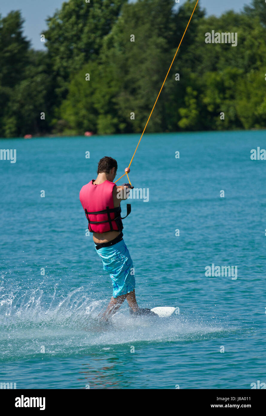 danger, sport, sports, lifestyle, tree, trees, risk, strong, turn ...