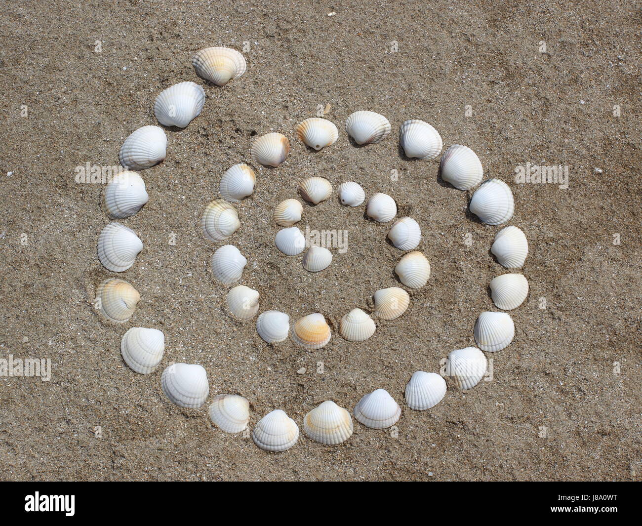 Spiral ribs hi-res stock photography and images - Alamy