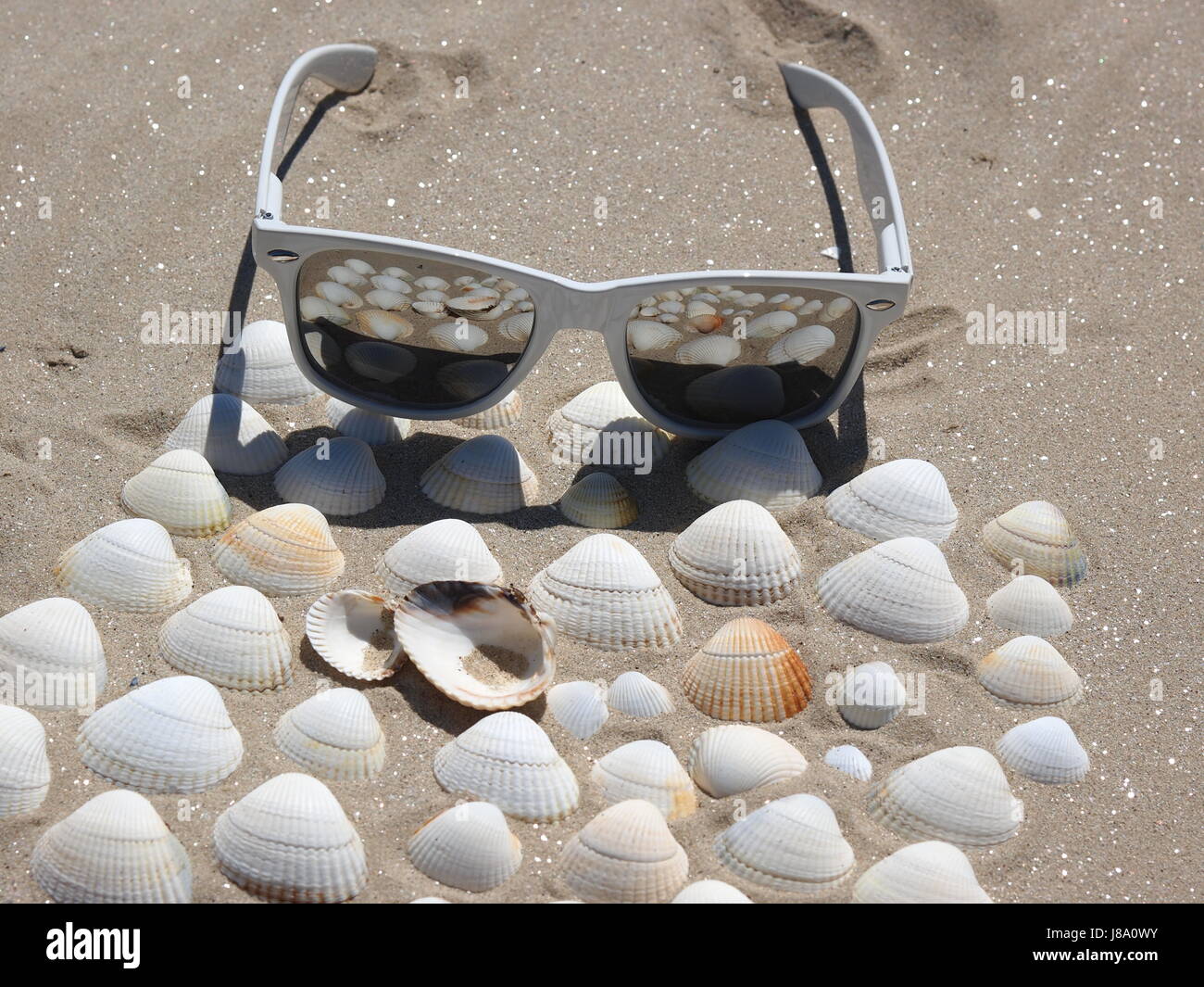 sunglasses with shells Stock Photo - Alamy