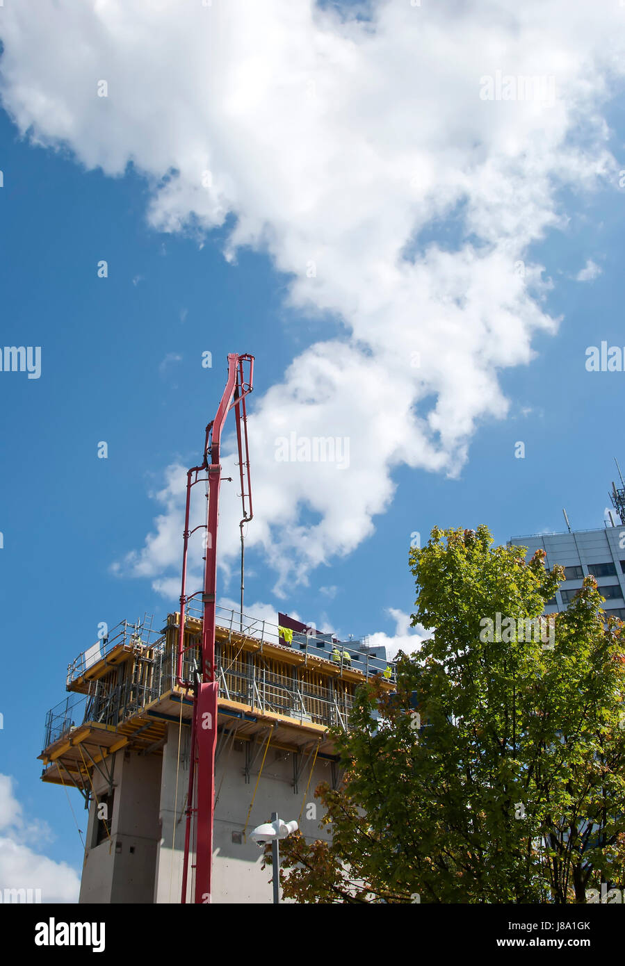 humans, human beings, people, folk, persons, human, human being, reach ...