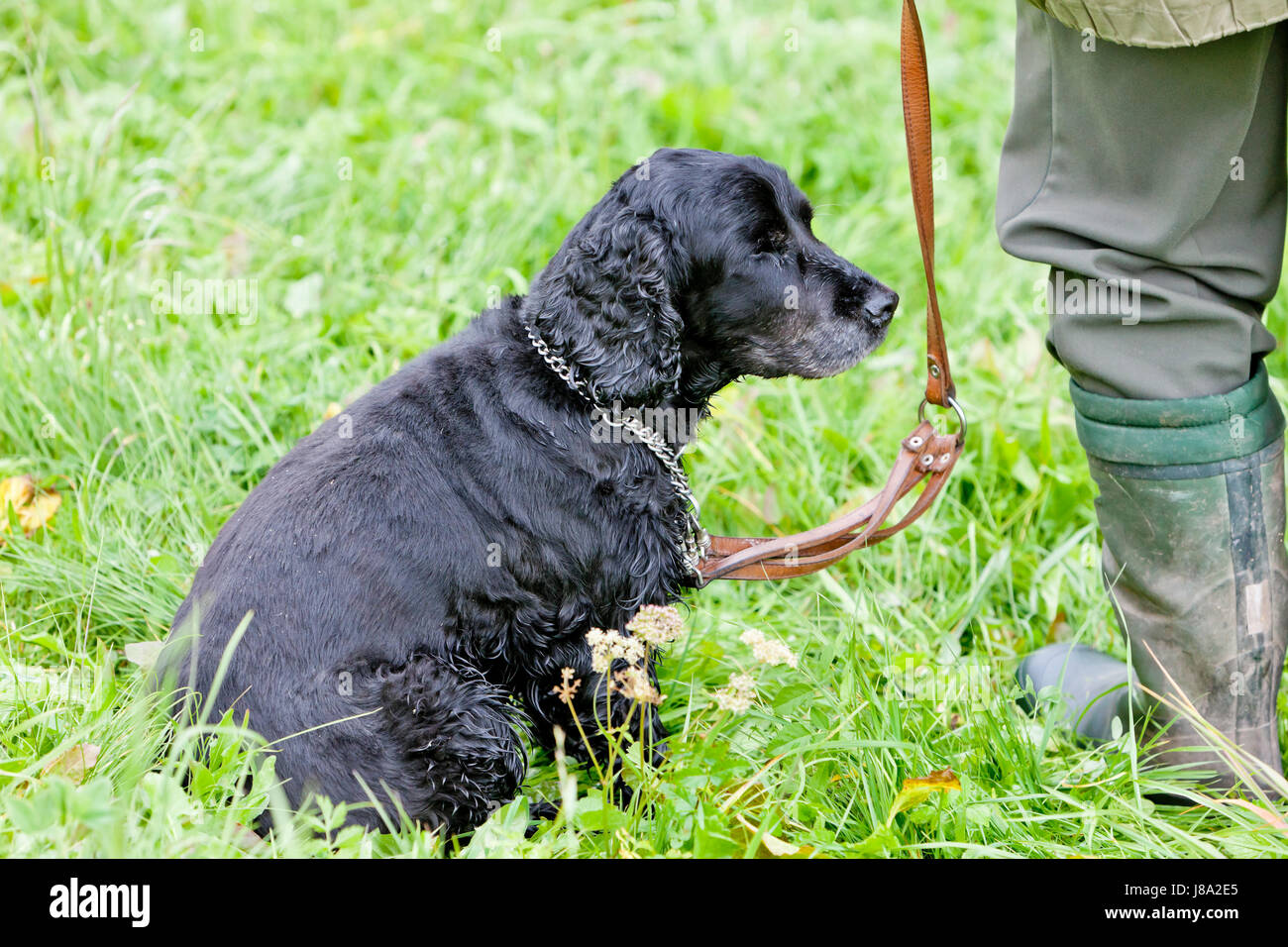 Human hunting hi-res stock photography and images - Alamy