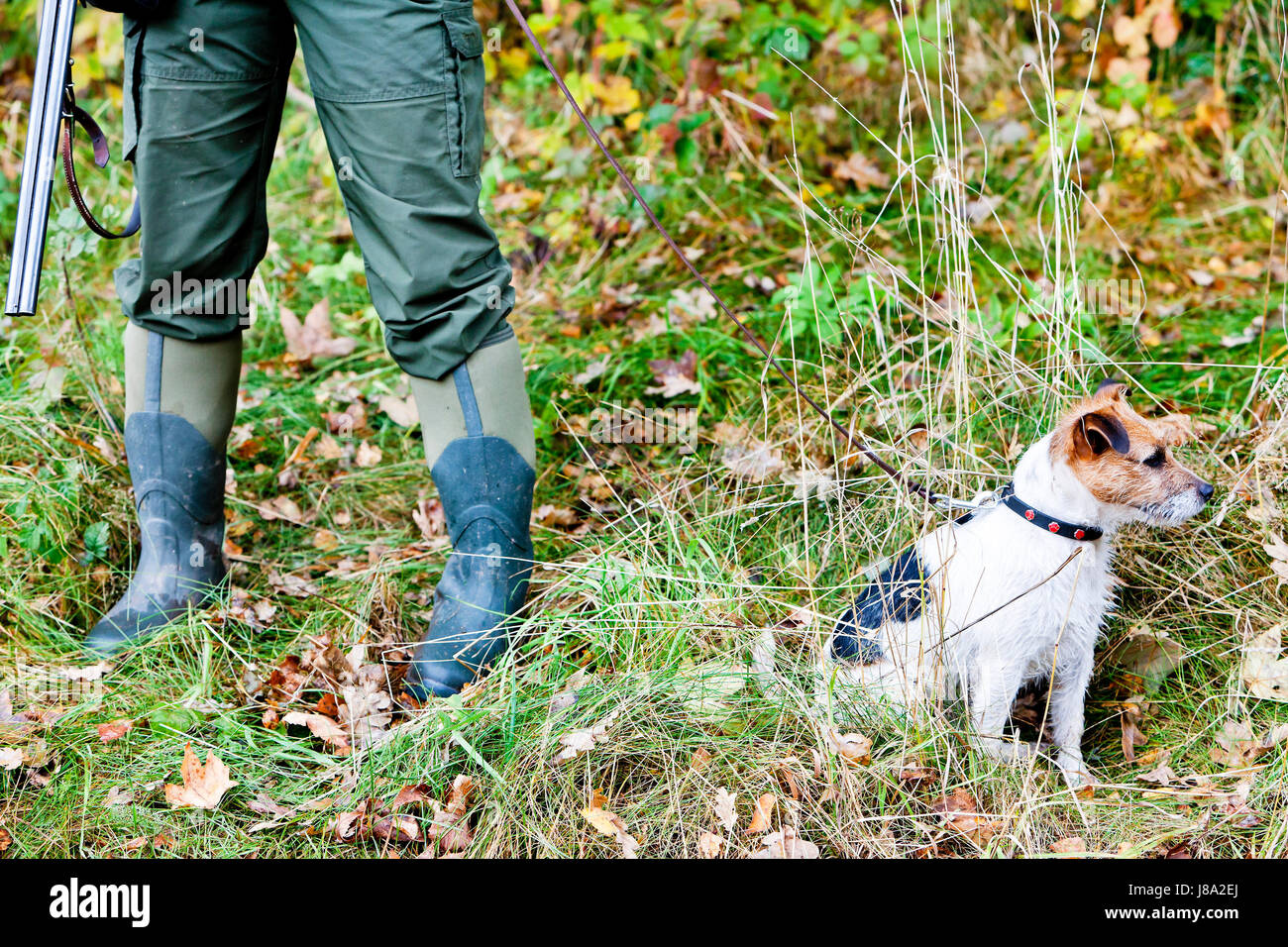 hunting, chase, legs, humans, human beings, people, folk, persons ...