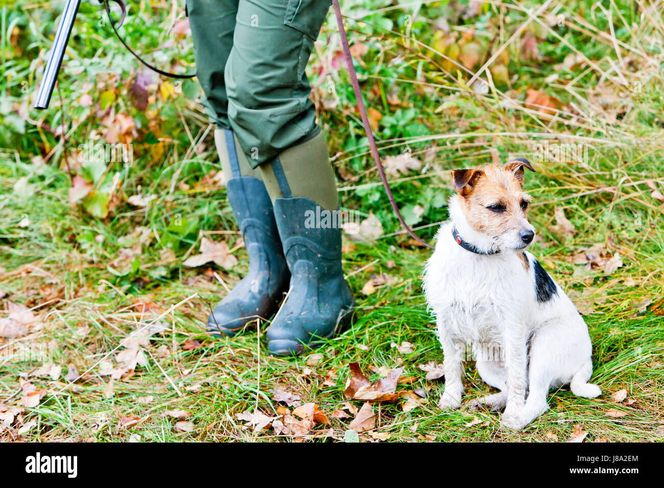 hunting, chase, legs, humans, human beings, people, folk, persons ...