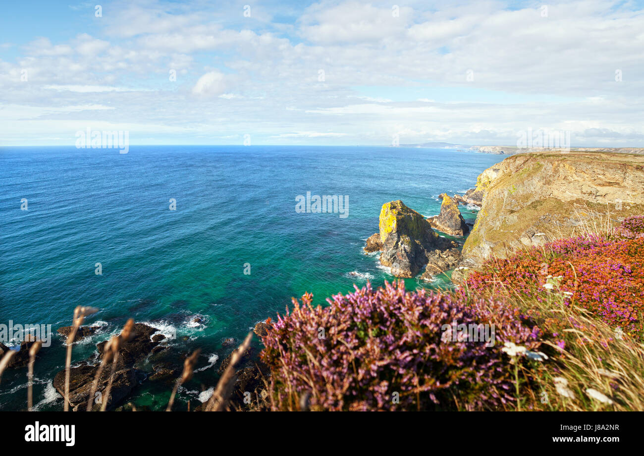 england, coast, britain, landscape, scenery, countryside, nature, salt ...
