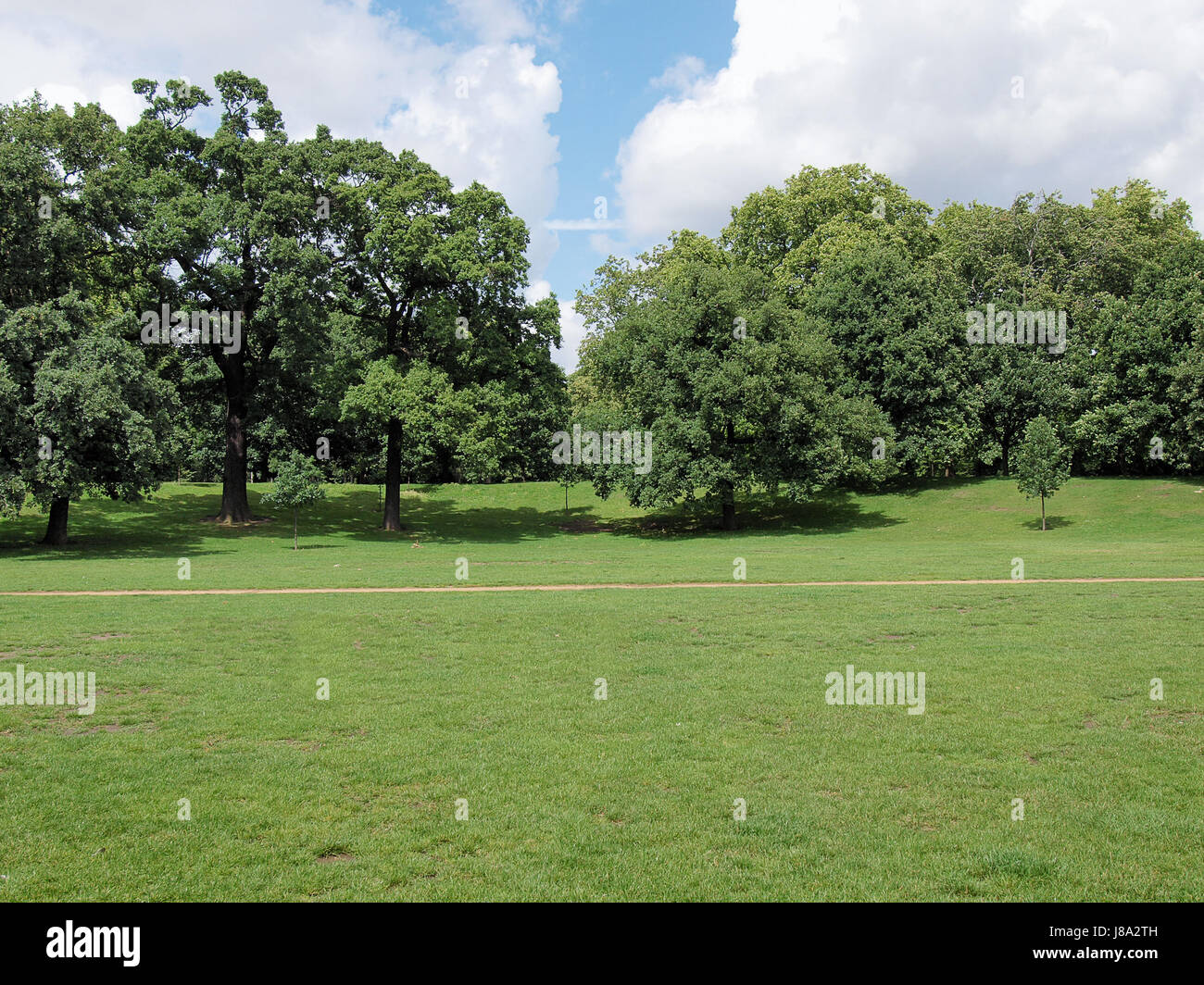 europe, england, gardens, british, britain, english, meadow, grass ...