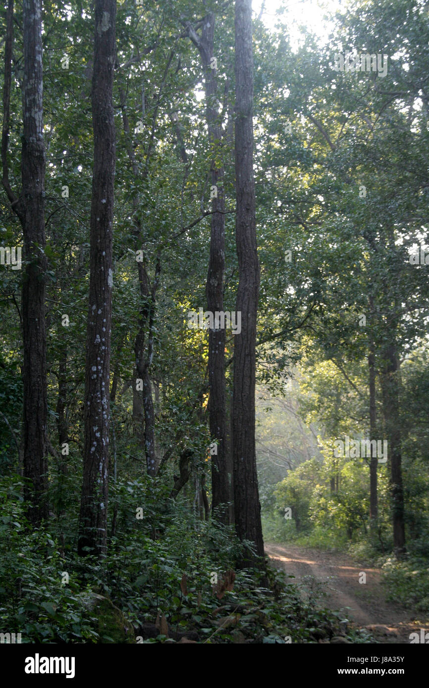 big, large, enormous, extreme, powerful, imposing, immense, relevant ...