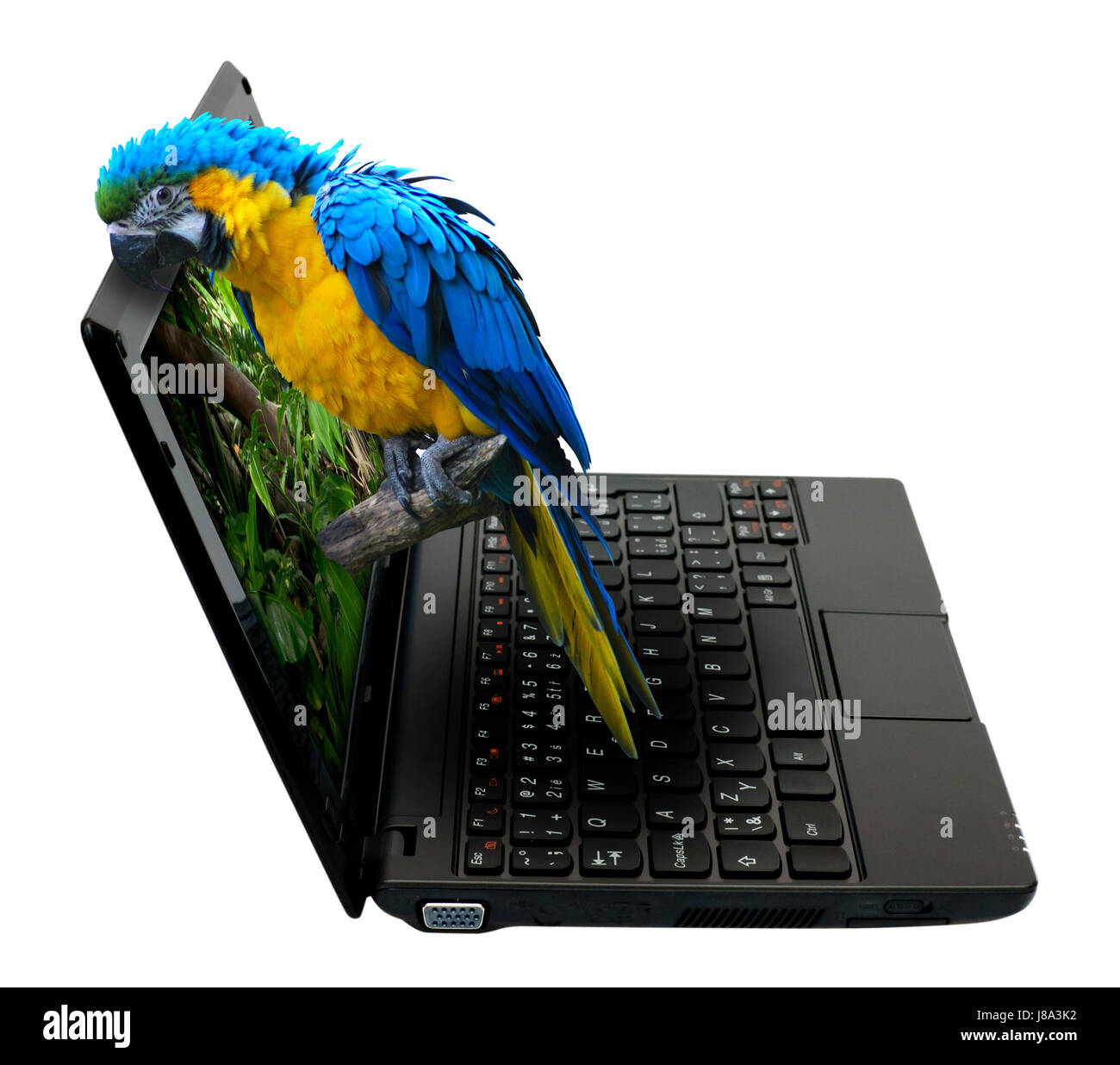 laptop, notebook, computers, computer, isolated, model, design, project ...