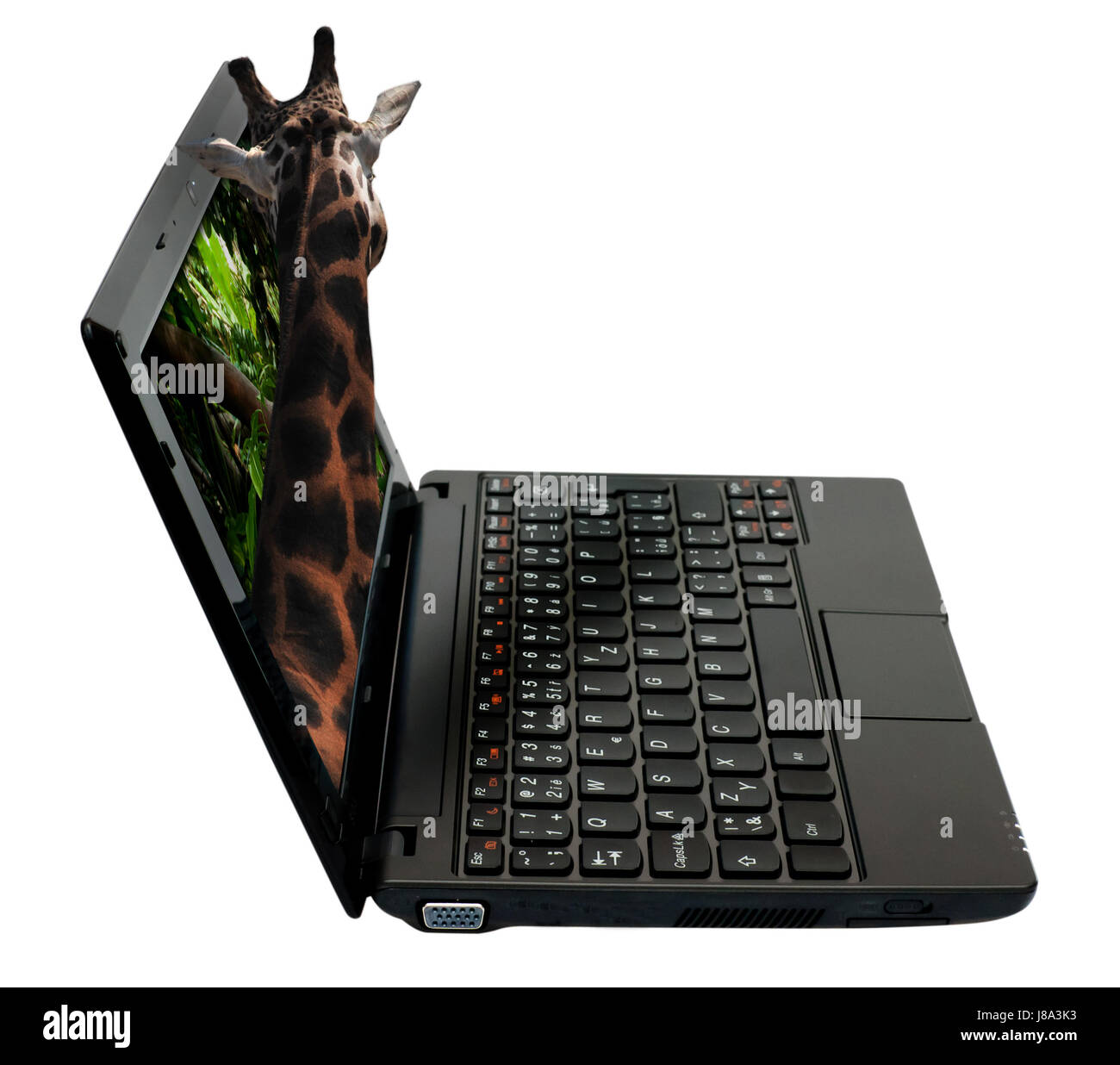 laptop, notebook, computers, computer, isolated, model, design, project ...