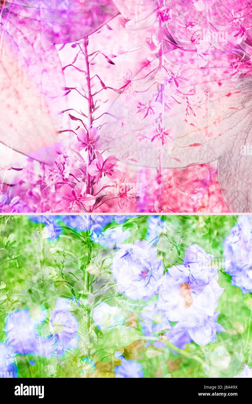 colour, illustration, abstract, wallpaper, color, backdrop, background ...