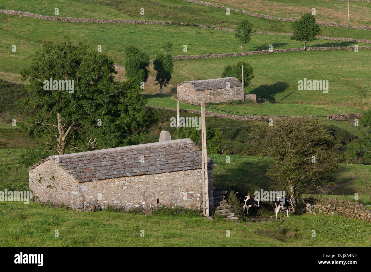 house, building, farmhouse, landscape, scenery, countryside, nature ...