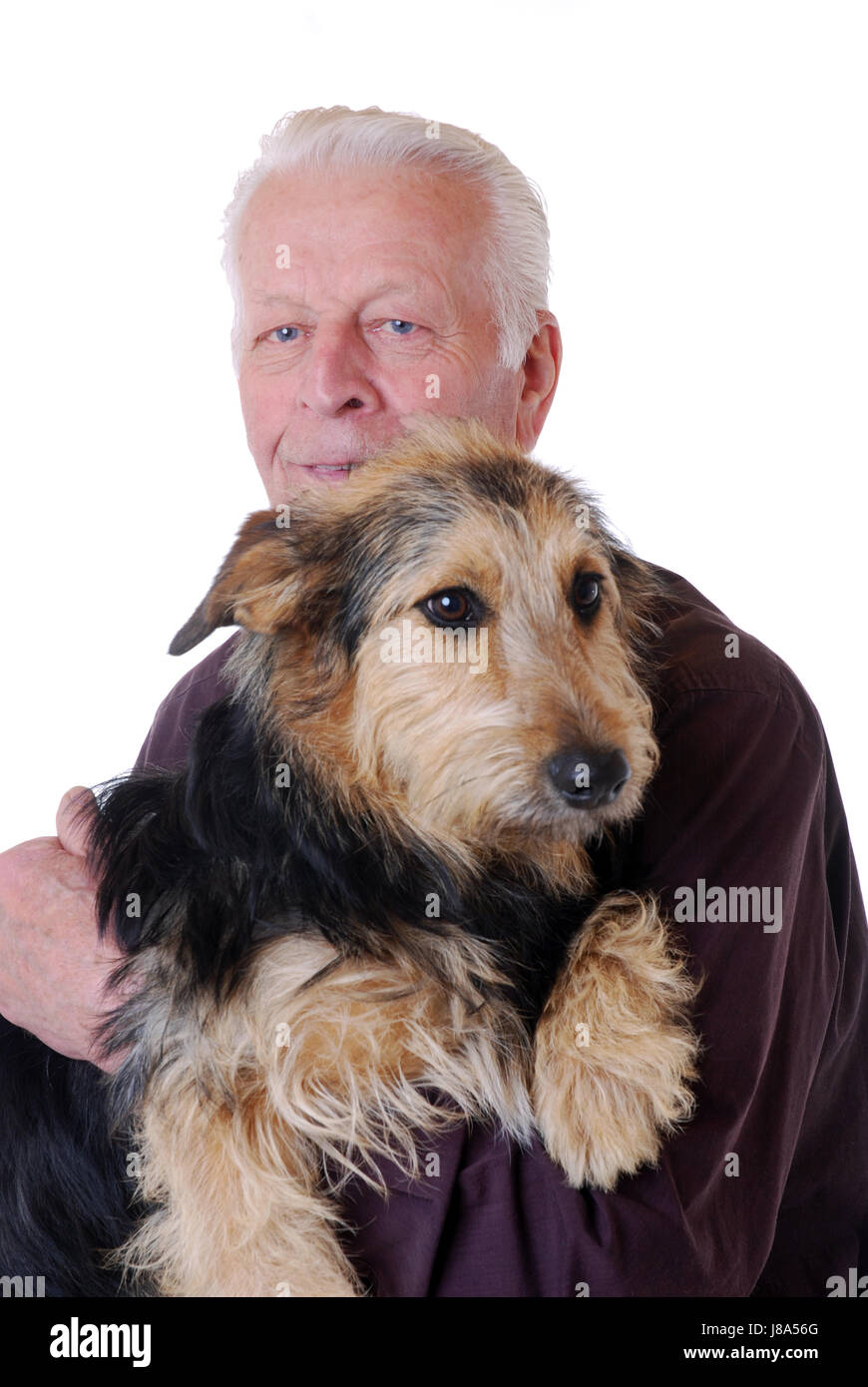 Grandpa grandfather studio photography dog hi-res stock photography and ...