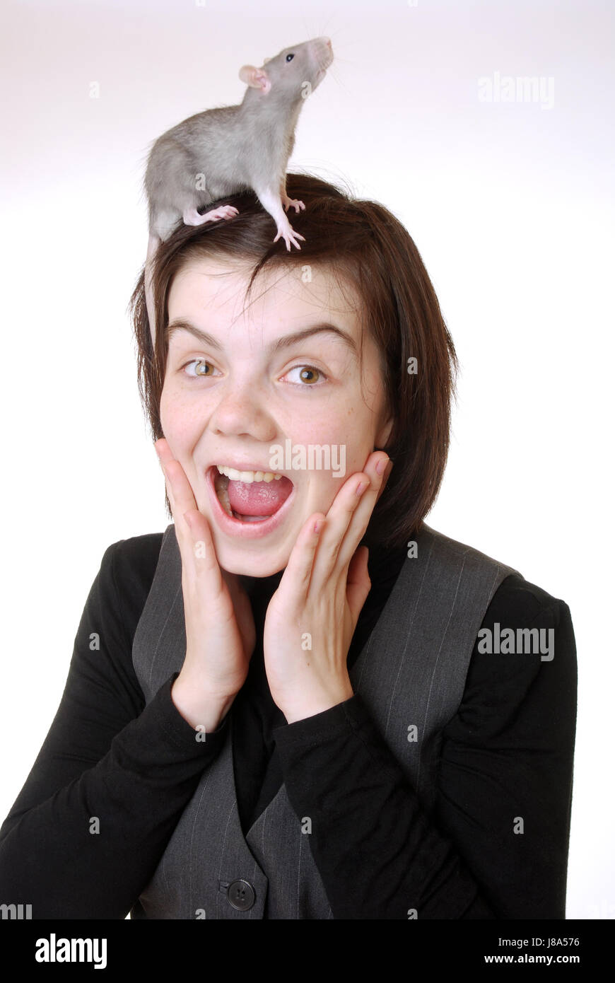 Rattenplage High Resolution Stock Photography and Images - Alamy