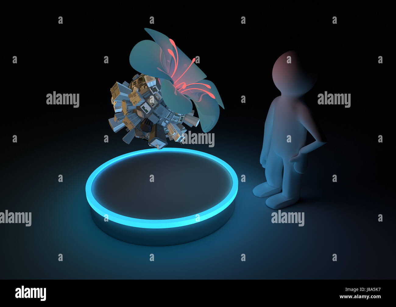 city, town, flower, plant, bloom, blossom, flourish, flourishing ...