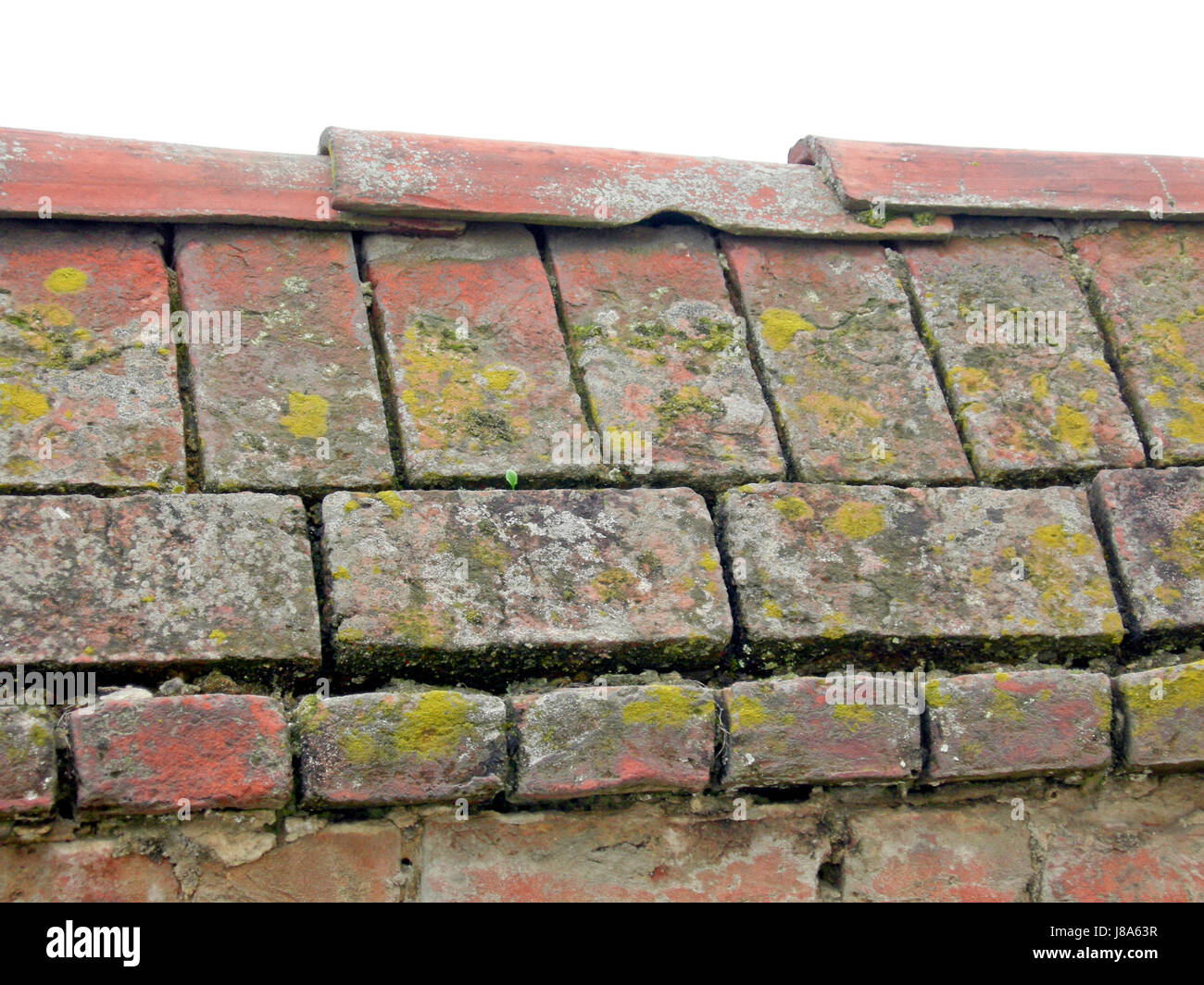 Flemish bond red brick wall hi-res stock photography and images - Alamy