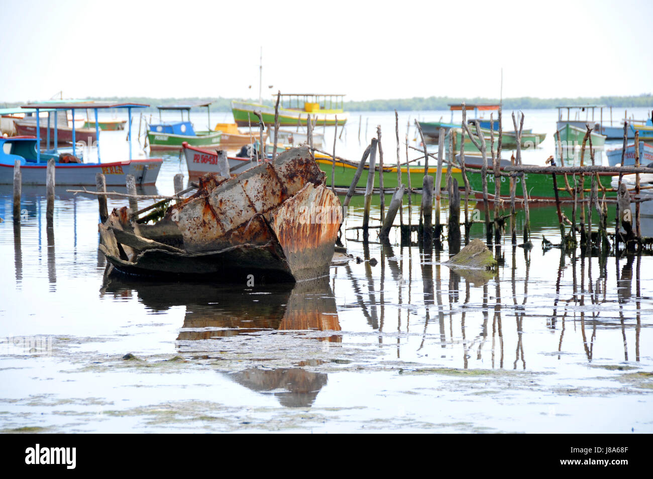 boats, sailing boat, sailboat, rowing boat, boat, watercraft, fisherman ...