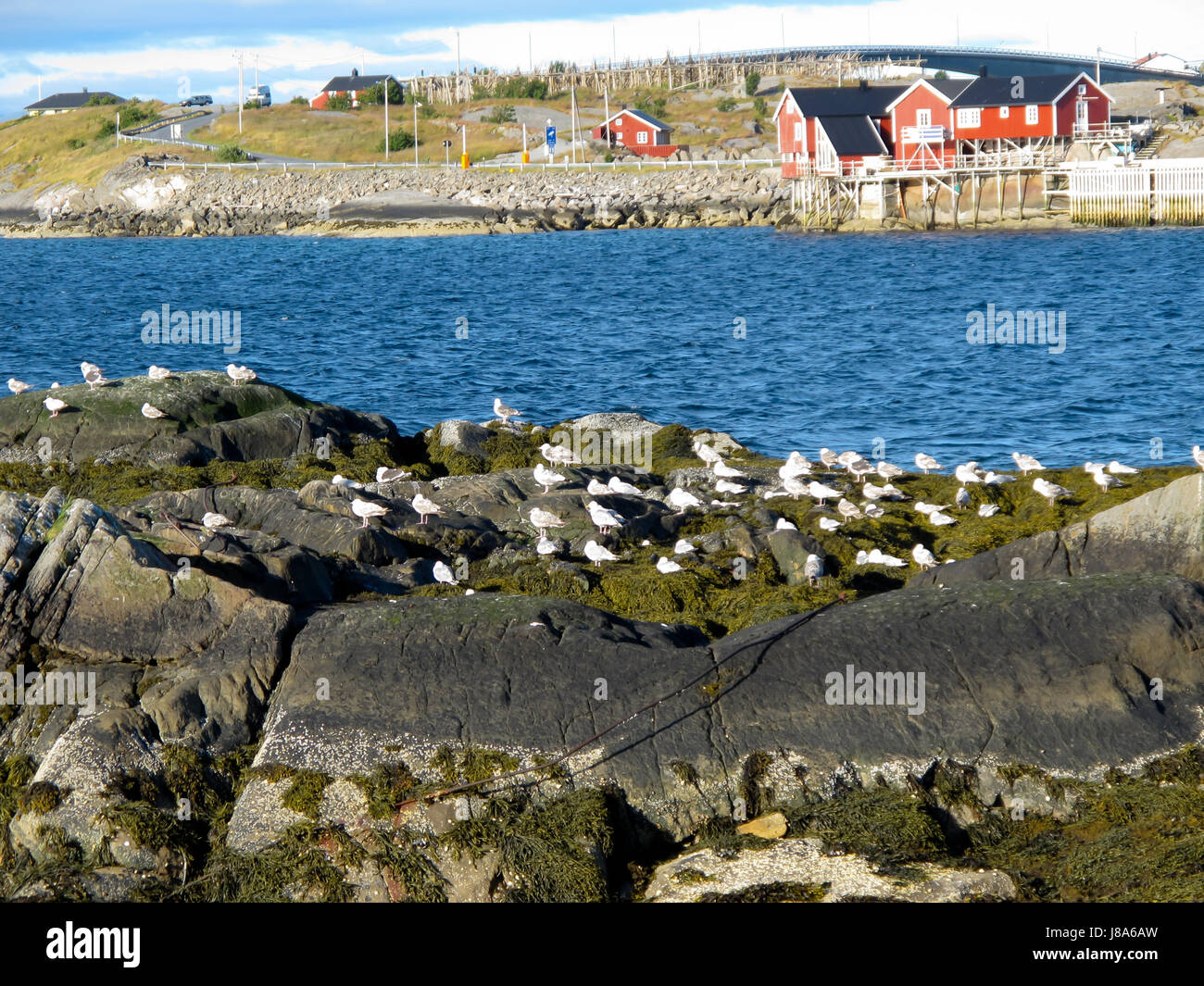 travel, mountains, wild, norway, scandinavia, landscape, scenery ...