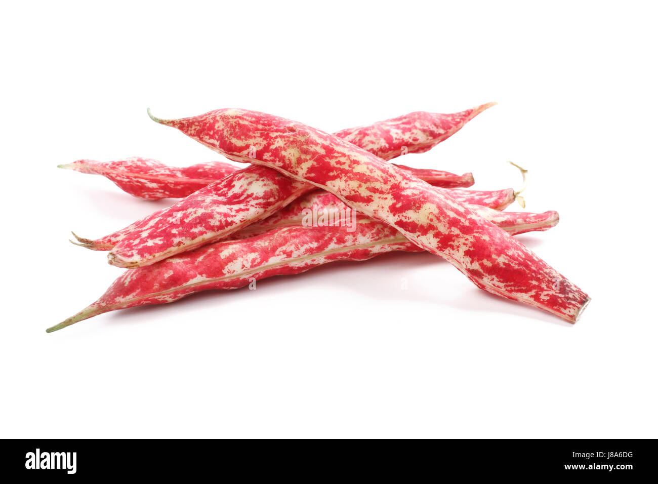 food, aliment, vegetable, legume, bean, white, red, food, aliment ...