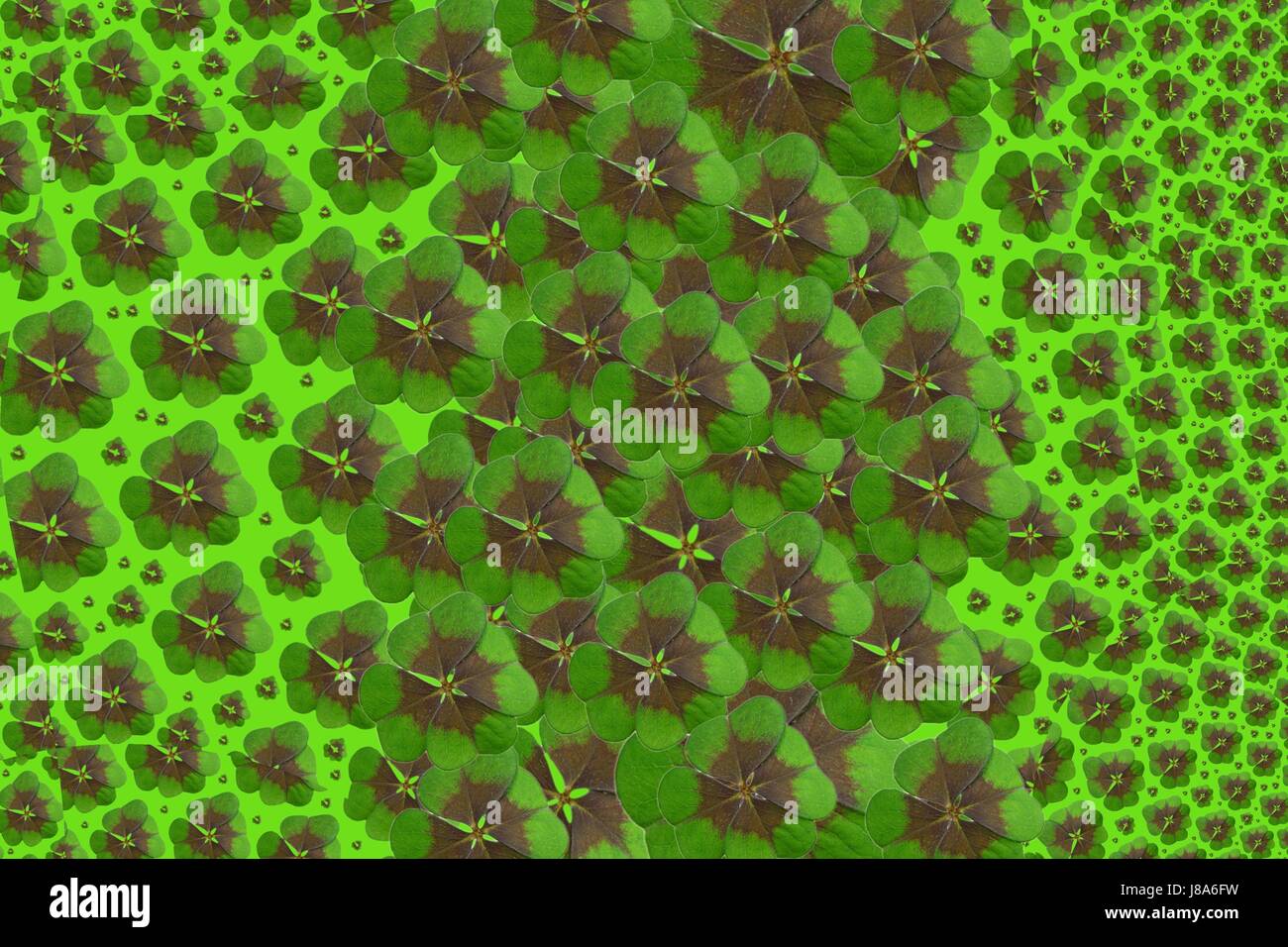 Klee symbol hi-res stock photography and images - Alamy