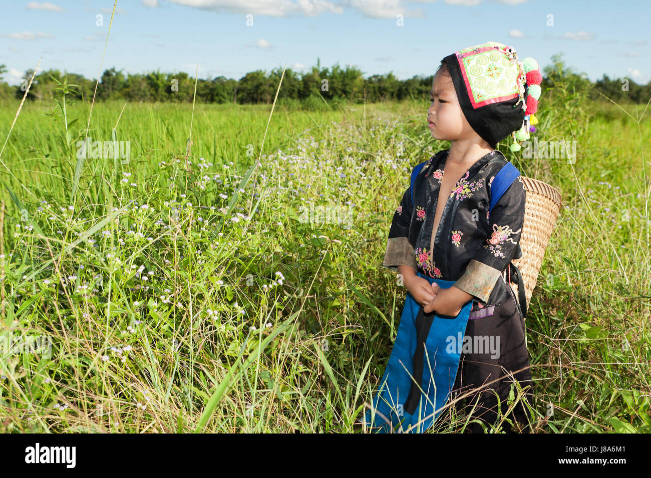 asian girl in the rice field Stock Photo - Alamy