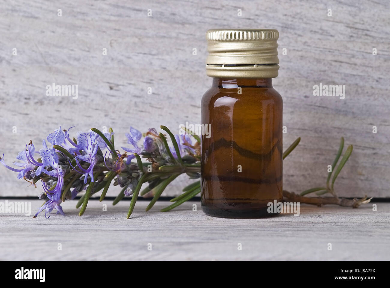 blue, health, medicinally, medical, flower, plant, green, leaves ...