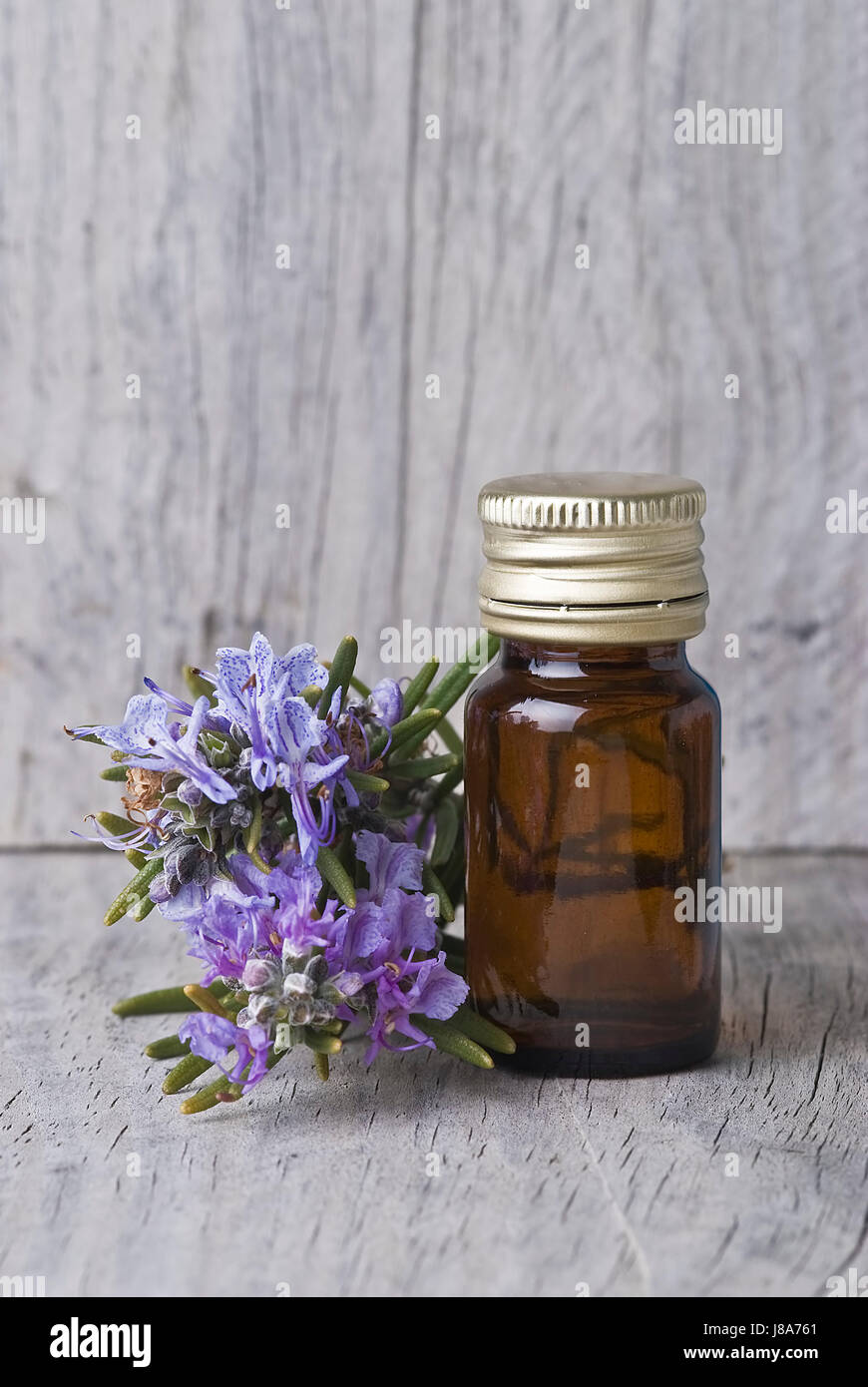 blue, health, medicinally, medical, flower, plant, green, leaves ...
