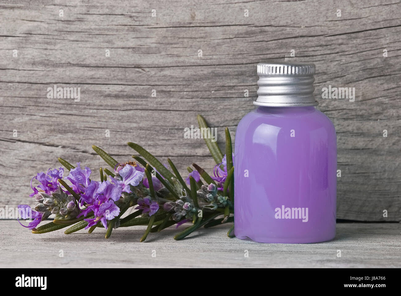 blue, health, medicinally, medical, flower, plant, green, leaves ...