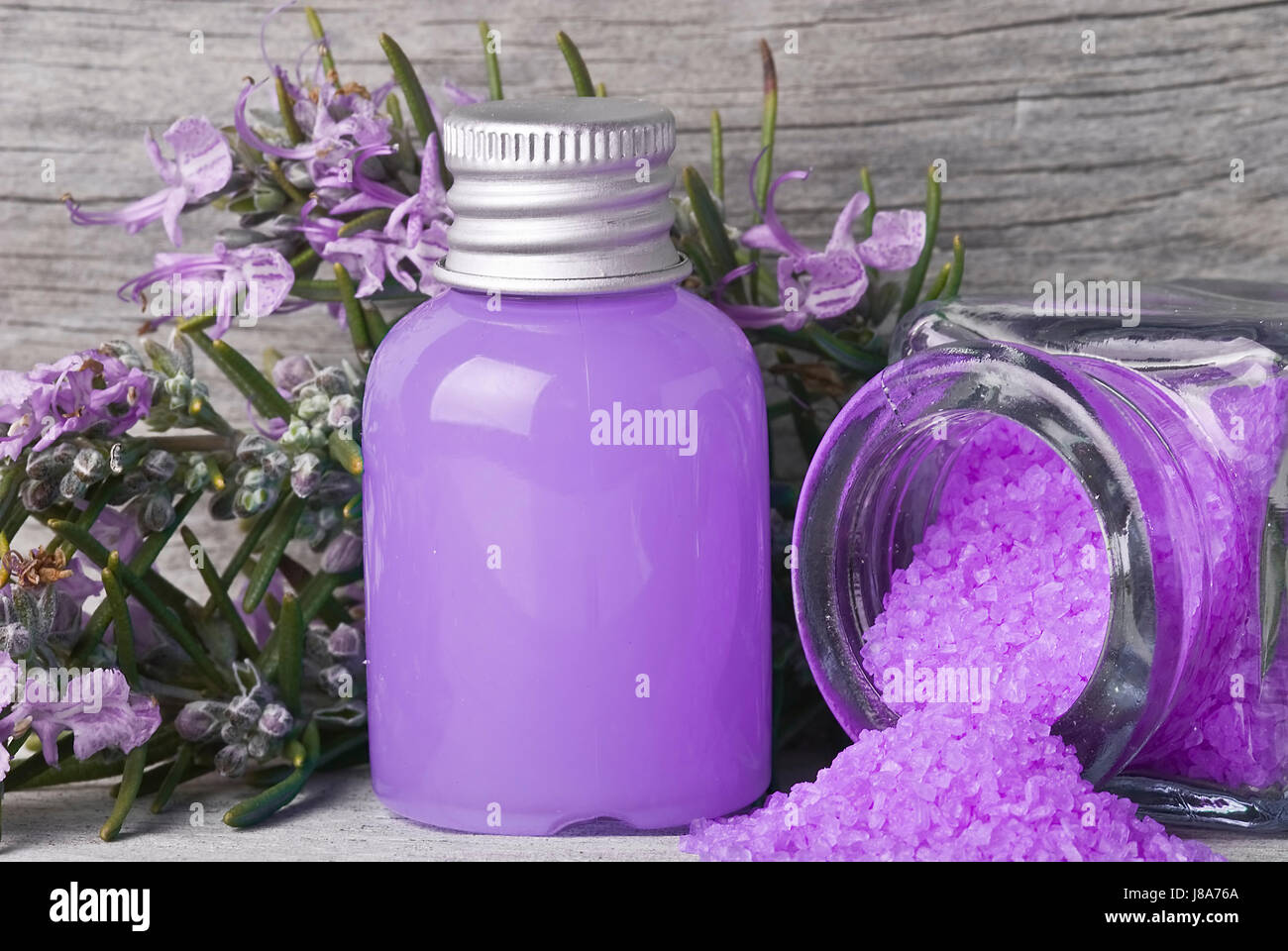 blue, health, medicinally, medical, flower, plant, green, leaves ...