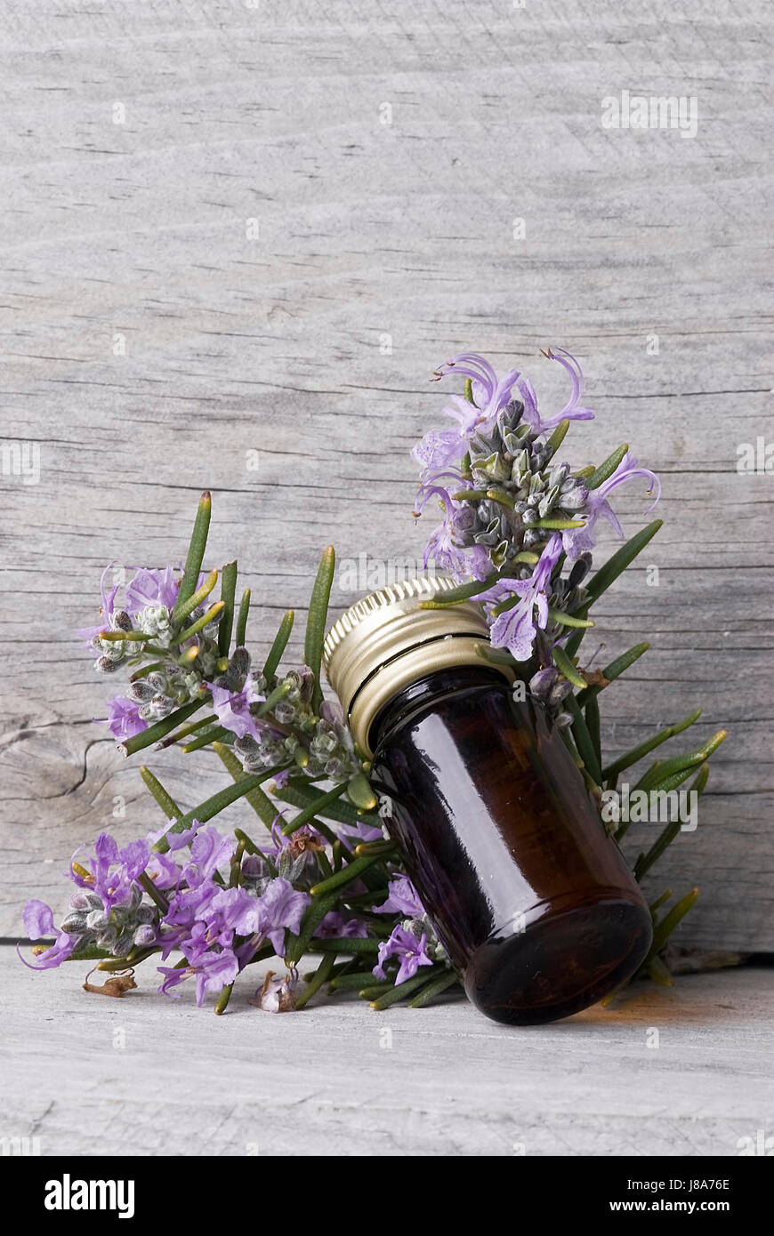 blue, health, medicinally, medical, flower, plant, green, leaves ...