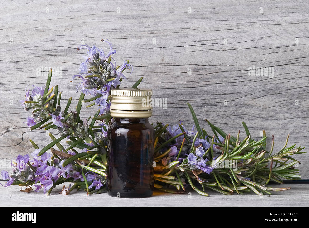 blue, health, medicinally, medical, flower, plant, green, leaves ...